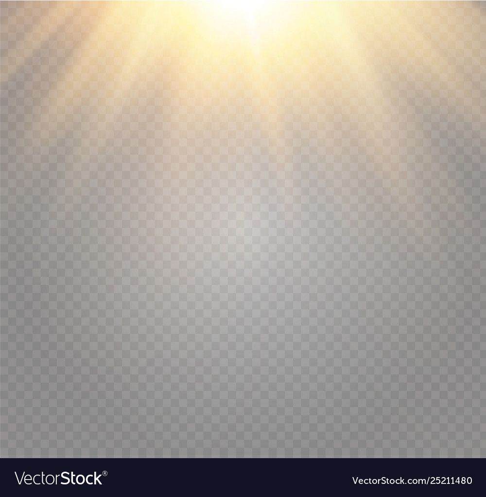 Transparent sunlight Royalty Free Vector Image