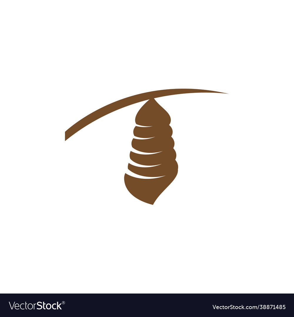Cocoon Royalty Free Vector Image - VectorStock