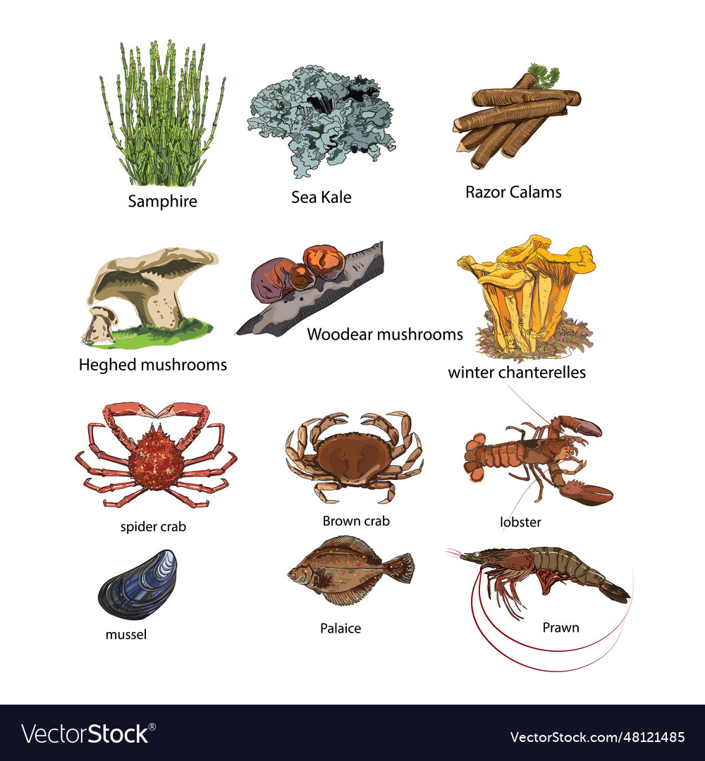 Fish seafood sea food Royalty Free Vector Image