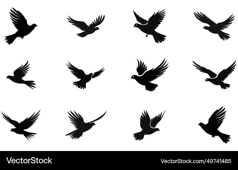 Flying dove birds silhouettes Royalty Free Vector Image