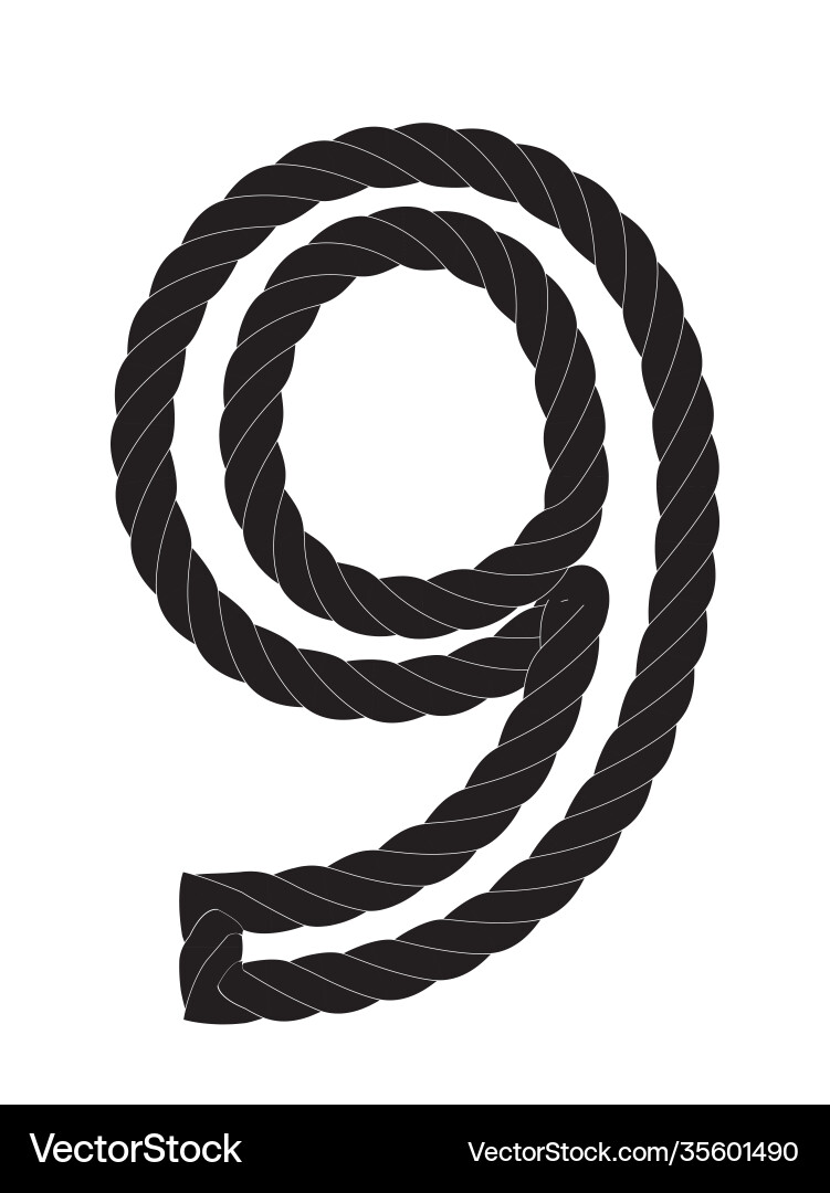 Black and white number nine made from rope Vector Image