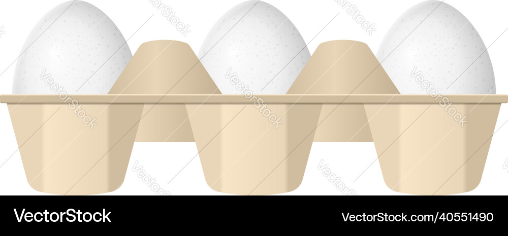 Eggs in carton box Royalty Free Vector Image - VectorStock
