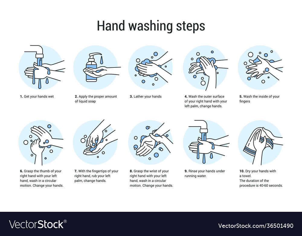 Hands wash manual algorithm for cleaning arms Vector Image