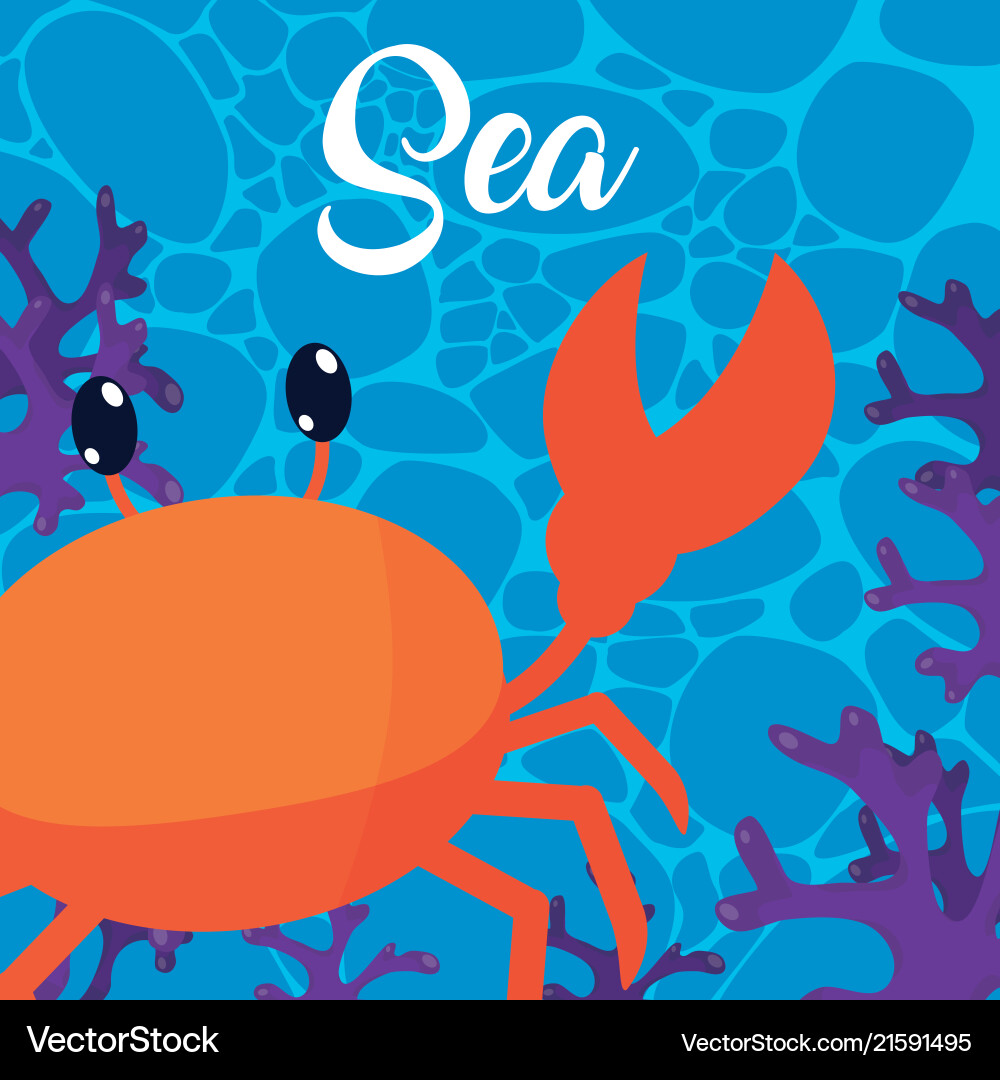 Cute sea cartoons Royalty Free Vector Image - VectorStock