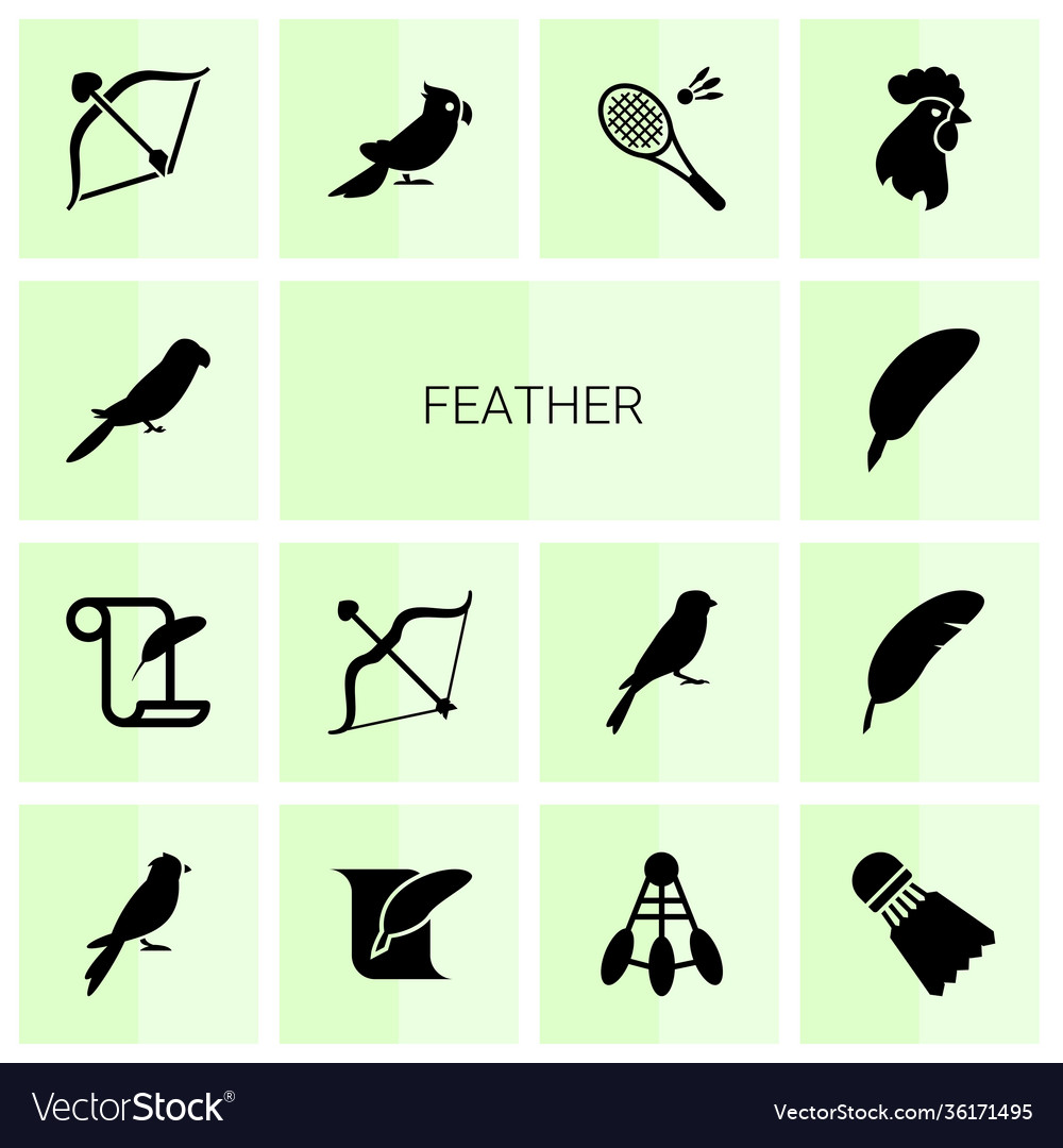 Feather icons Royalty Free Vector Image - VectorStock
