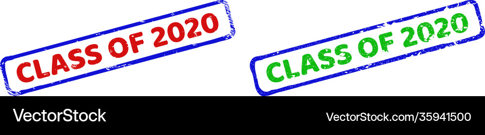 Class of 2020 bicolor rough rectangle stamps Vector Image