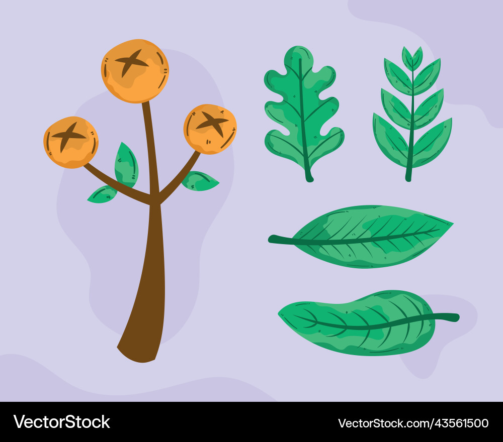 Five nature and botanical icons Royalty Free Vector Image