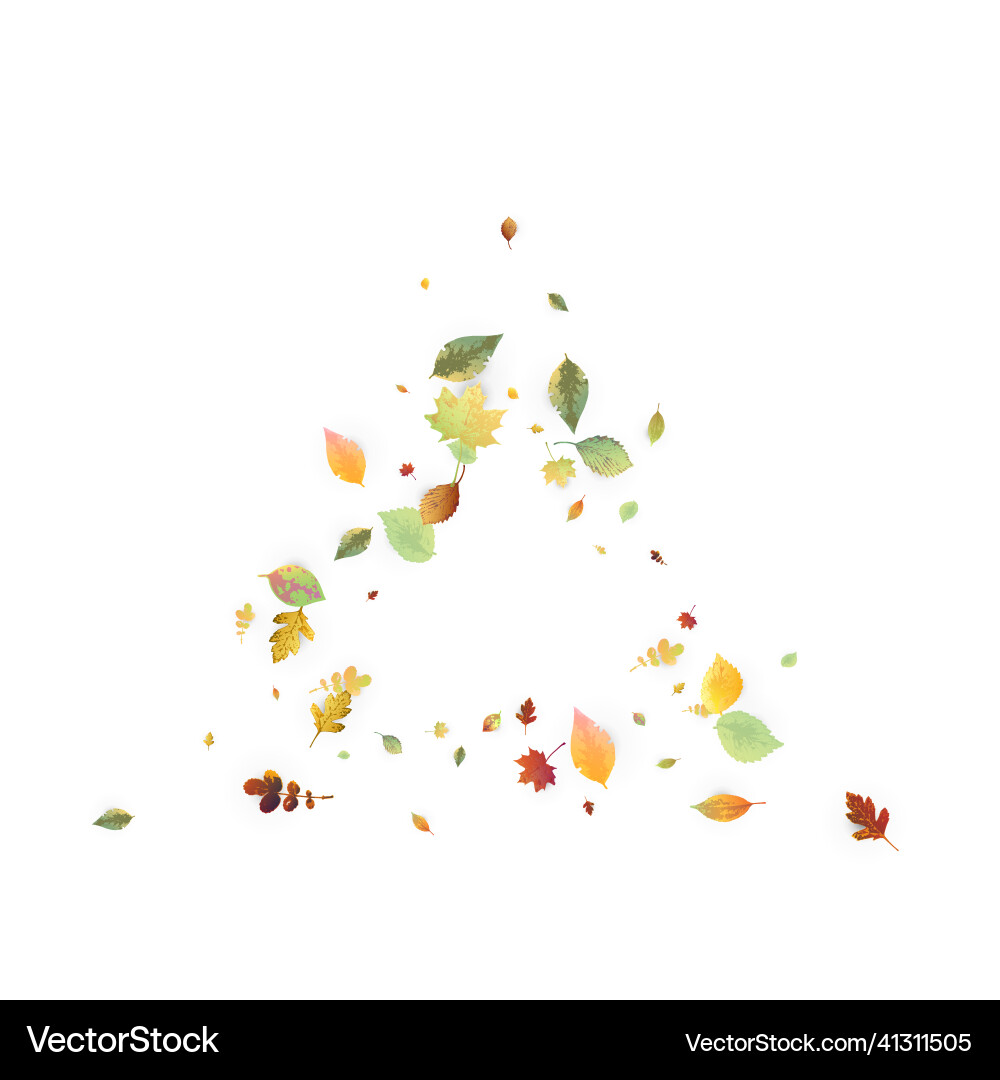 Leaves falling autumn foliage chaotic leaf flying Vector Image