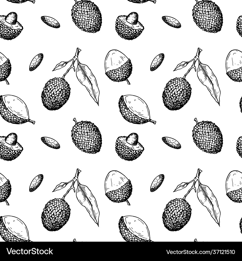 Hand drawn seamless pattern with lychee fruits Vector Image