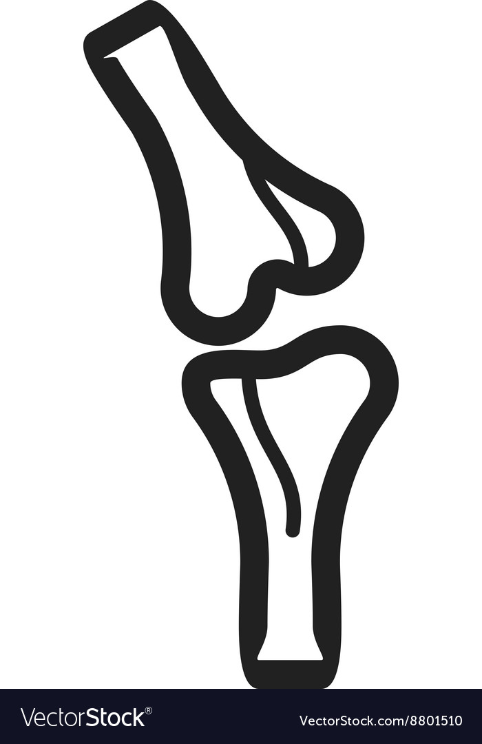 Joint Royalty Free Vector Image - VectorStock