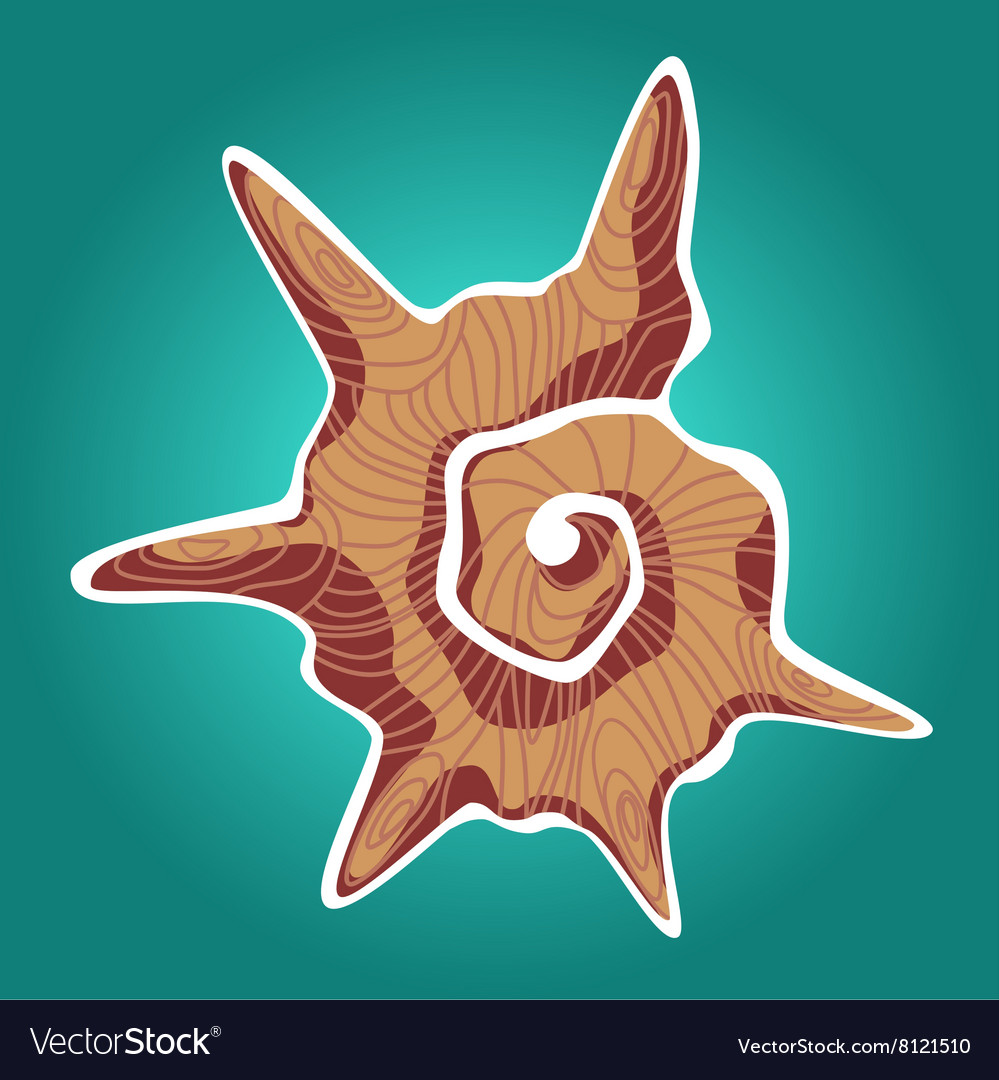 Shell orange Royalty Free Vector Image - VectorStock