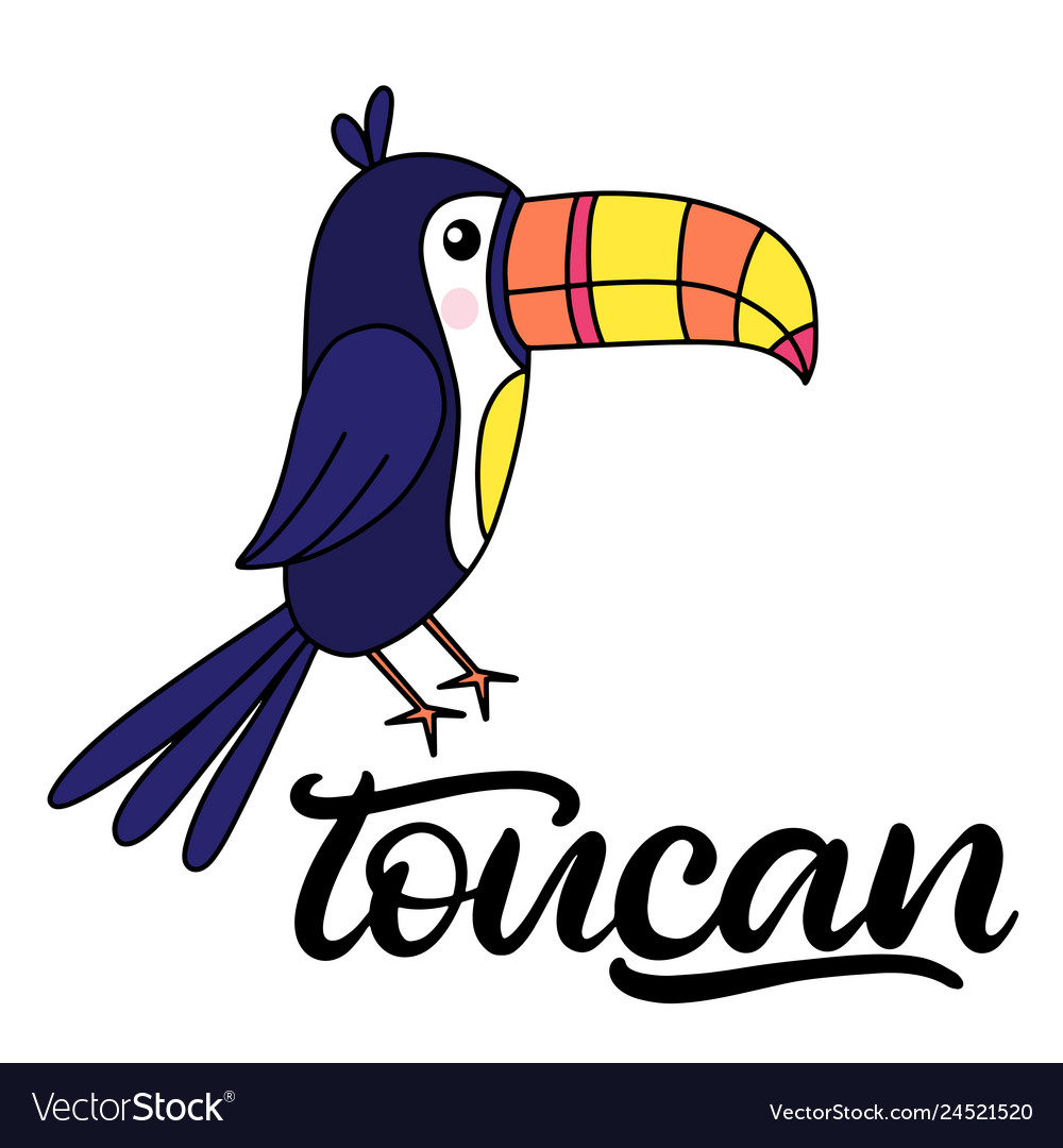 Toucan lettering Royalty Free Vector Image - VectorStock