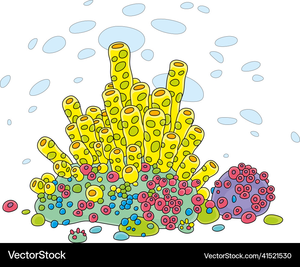 Colorful exotic corals on an underwater reef Vector Image