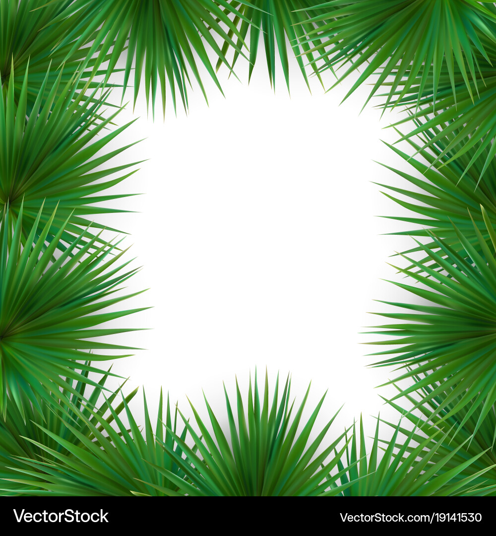 Colorful naturalistic frame from the leaf Vector Image