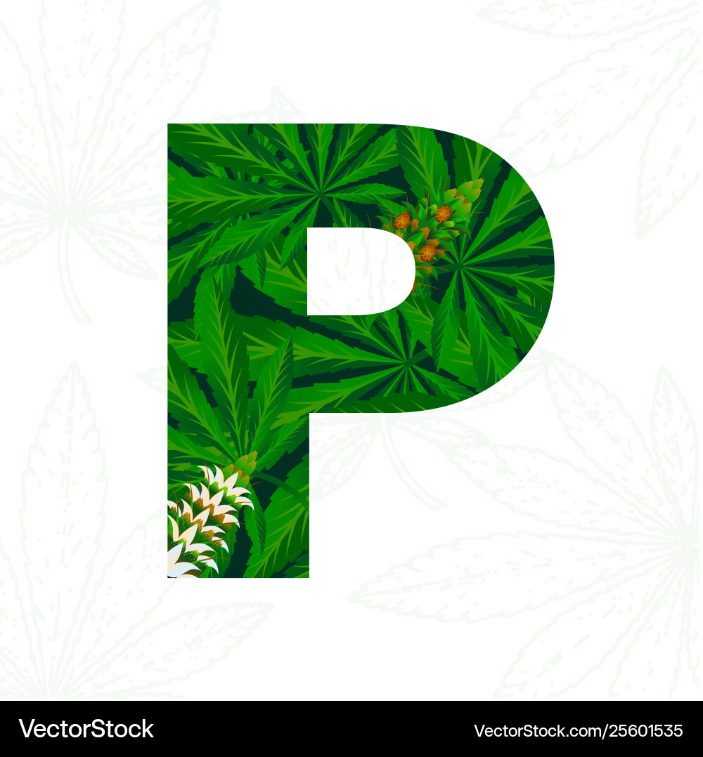 Letter with cannabis leaf for logo design Vector Image