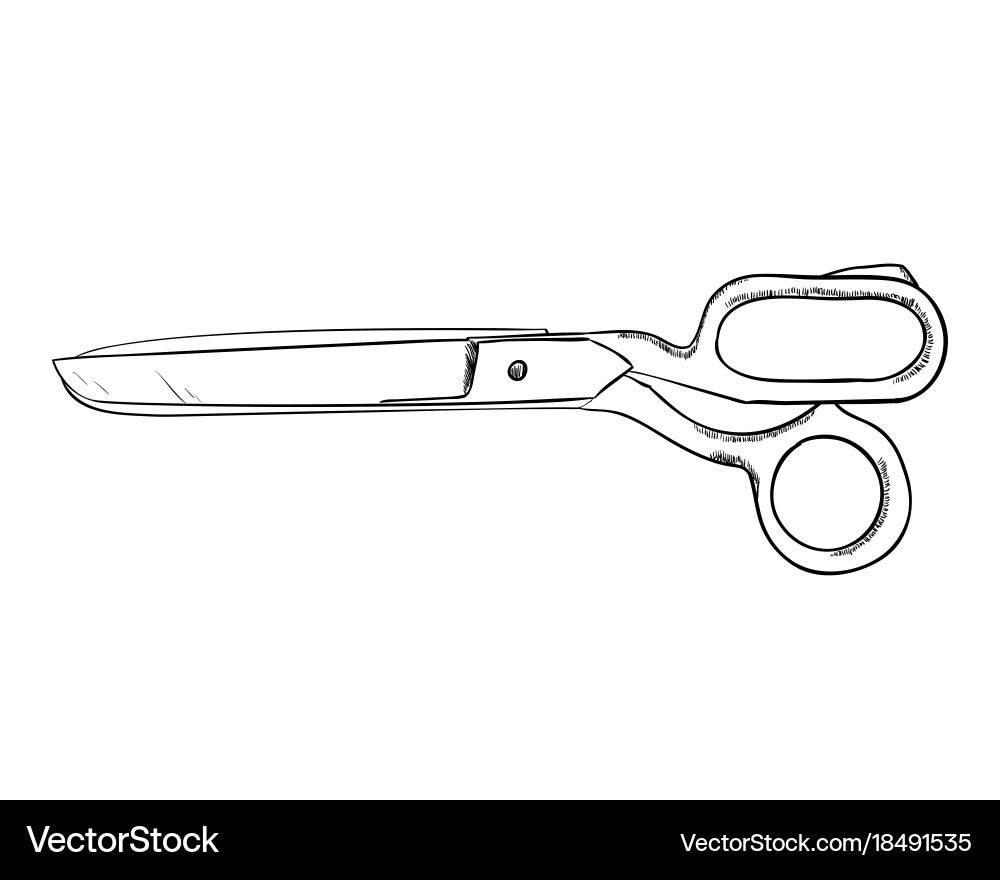 Sketch of scissors Royalty Free Vector Image - VectorStock