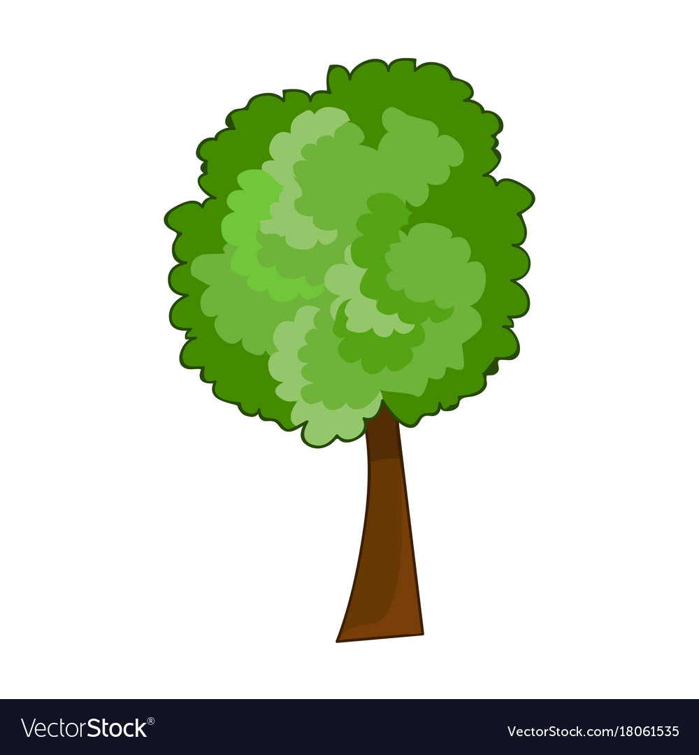 Tree isolated Royalty Free Vector Image - VectorStock