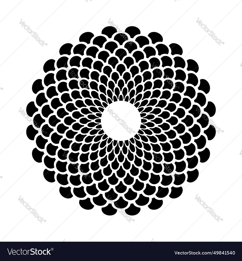 Radial pattern Royalty Free Vector Image - VectorStock
