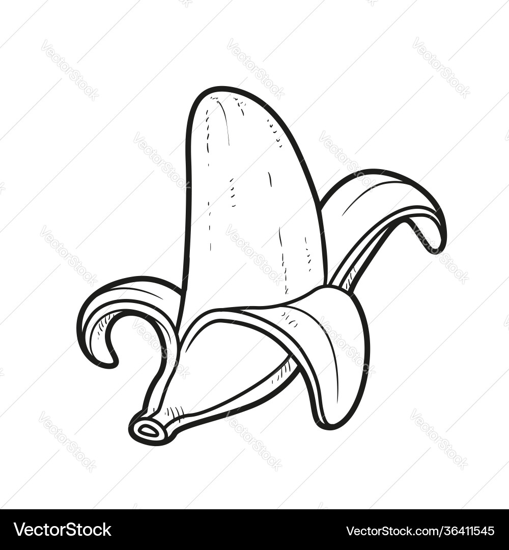 Banana with uncovered skin linear drawing Vector Image