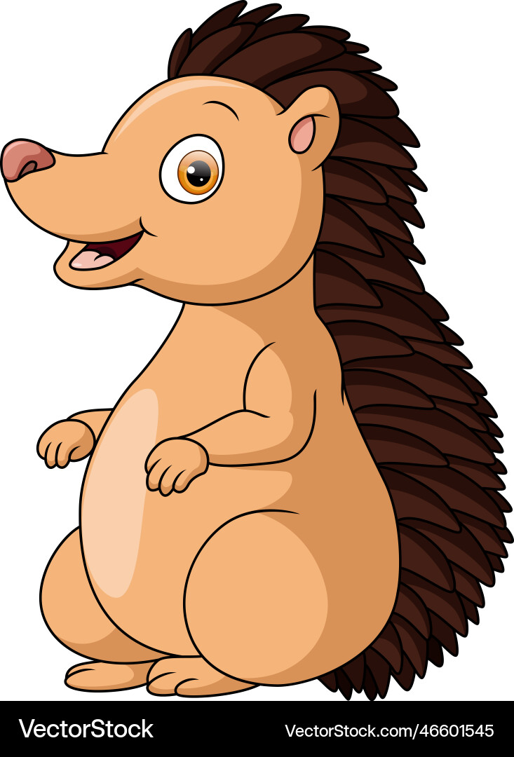 Cute hedgehog cartoon on white background Vector Image