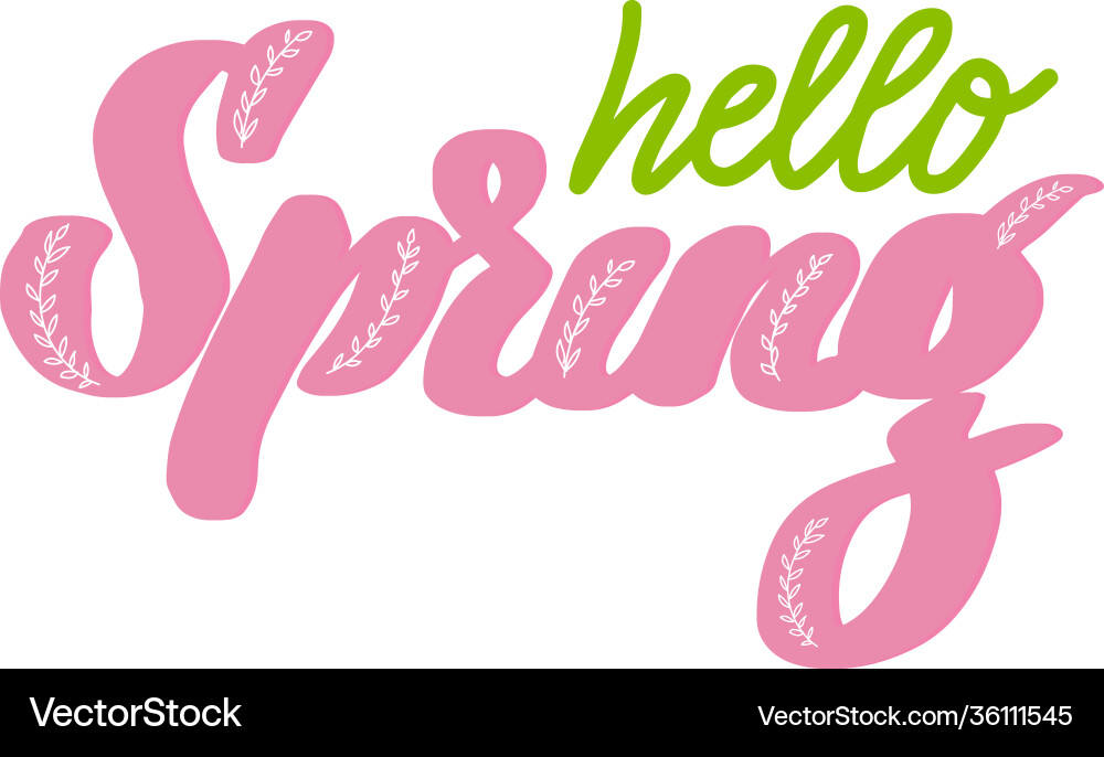 Hello spring brush lettering isolated handwritten Vector Image