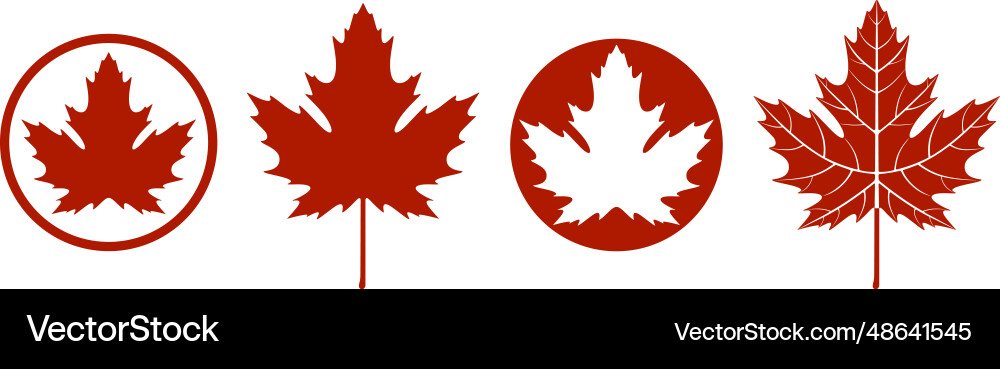 Maple leaf Royalty Free Vector Image - VectorStock