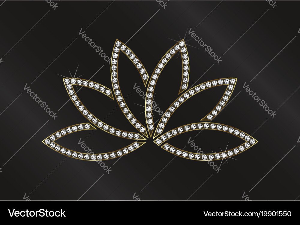 Luxury lotus plant image Royalty Free Vector Image