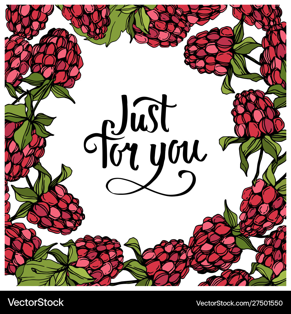 Raspberry healthy food isolated red Royalty Free Vector