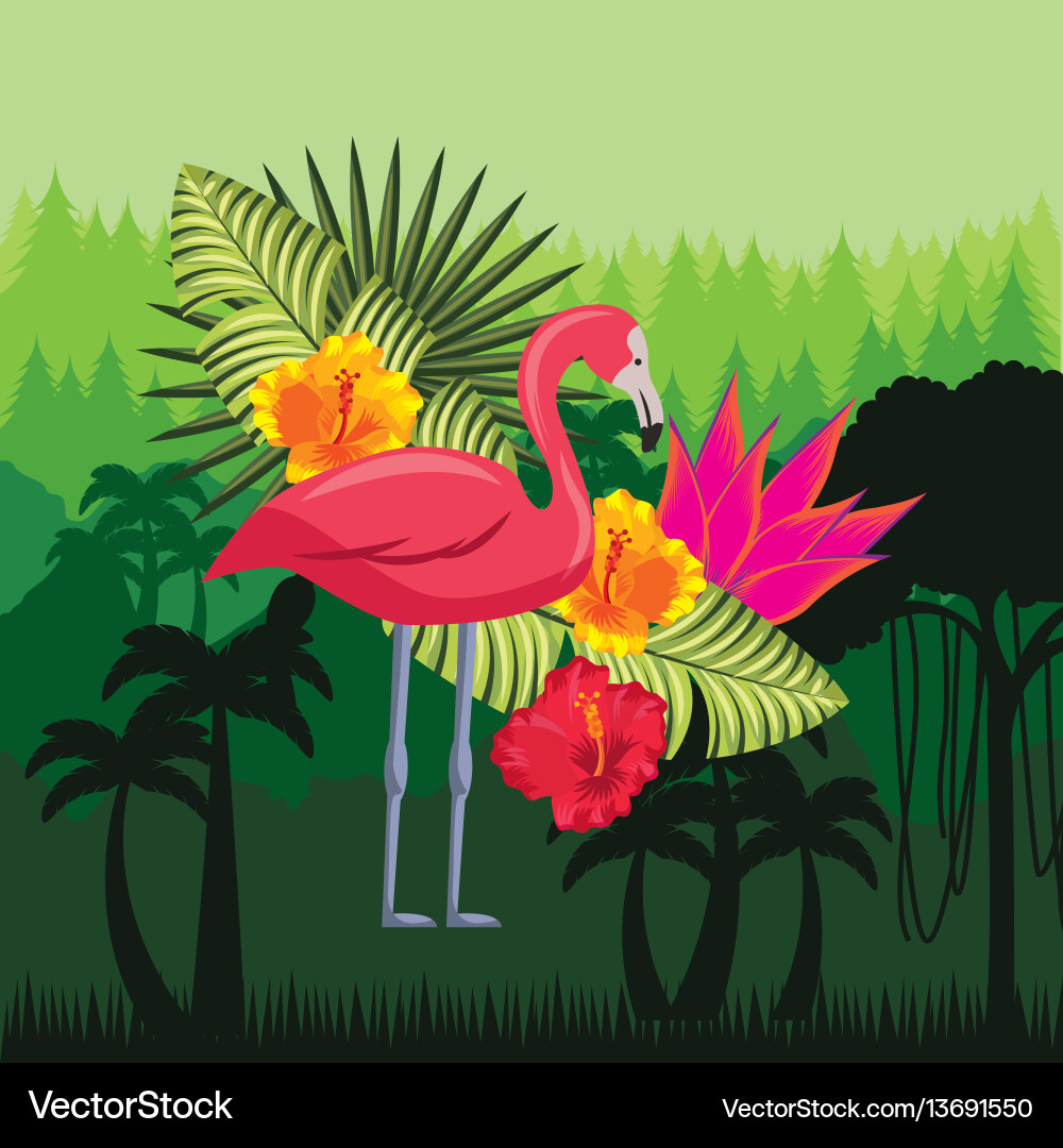Tropical flowers design Royalty Free Vector Image