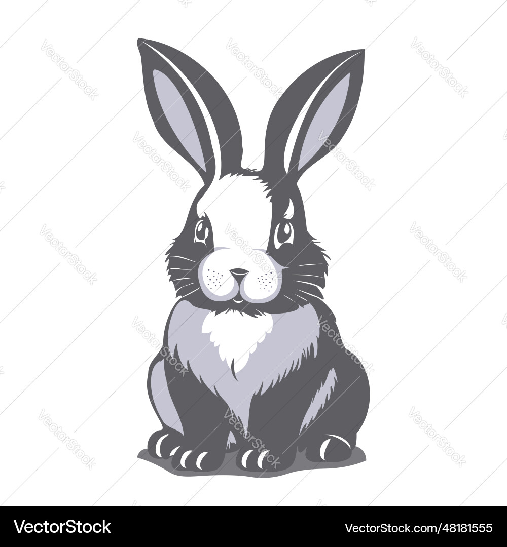 Cute graphic gray sitting beautiful bunny Vector Image