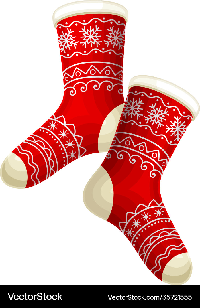 Knitted winter pair socks with ornament Royalty Free Vector