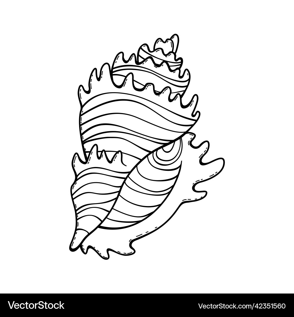Hand draw sketch sea shell-1 Royalty Free Vector Image