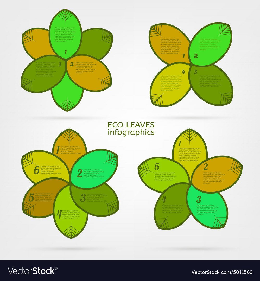 Leaves infographic Royalty Free Vector Image - VectorStock