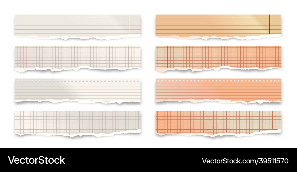 Ripped paper strips isolated on white background Vector Image