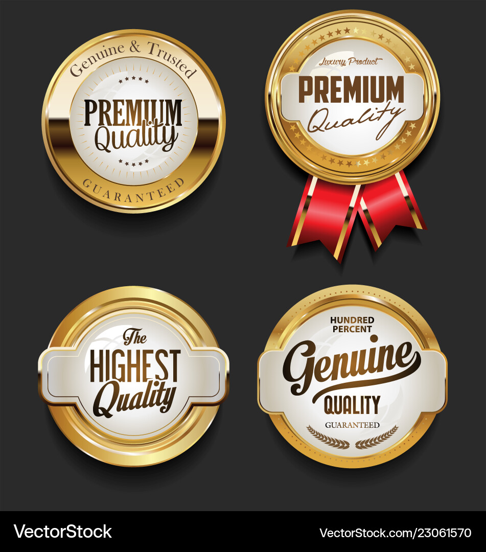 Vintage style premium quality design collection Vector Image