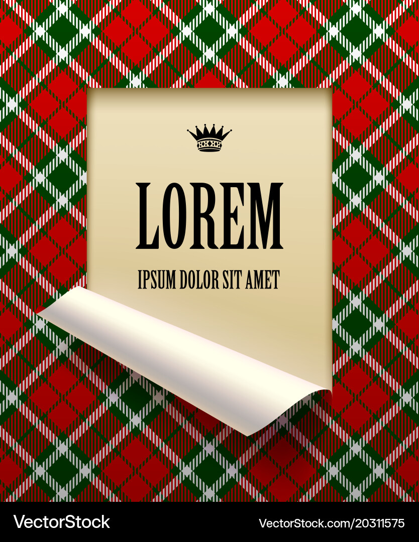 Paper sheet cut framed and partially rolled up Vector Image