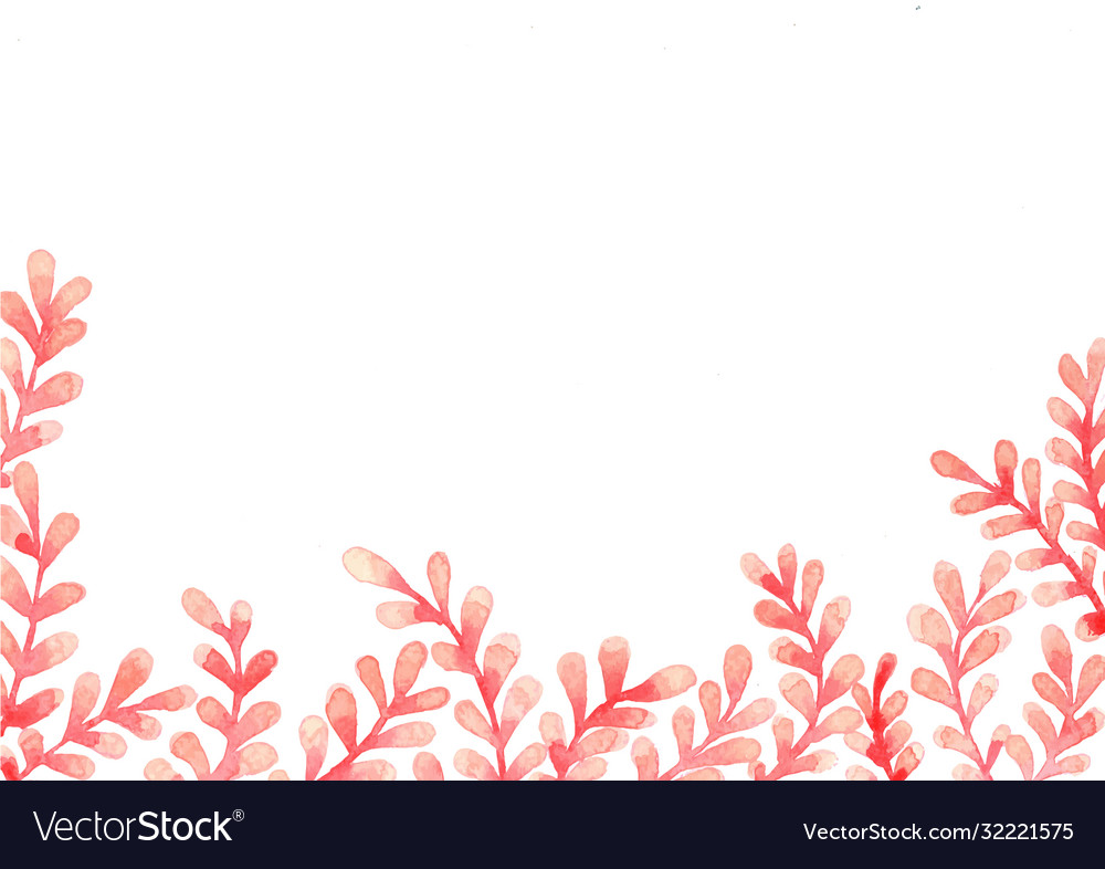 Romantic pink fern frame watercolor background Vector Image
