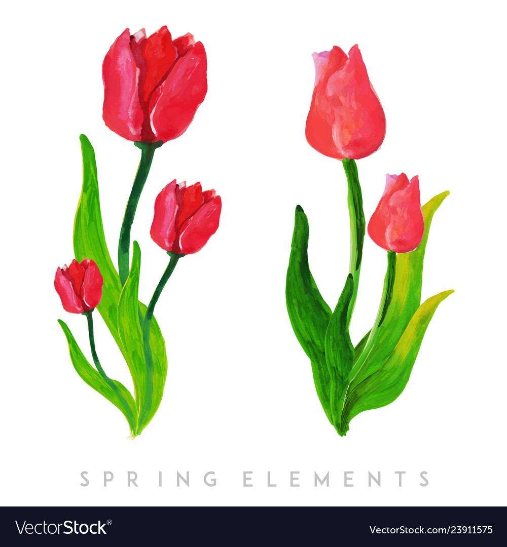 Watercolor spring floral collection Royalty Free Vector