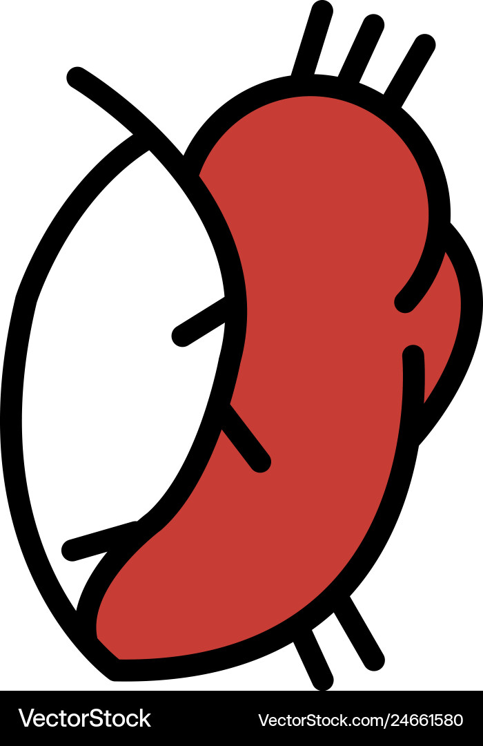 Medical heart icon Royalty Free Vector Image - VectorStock