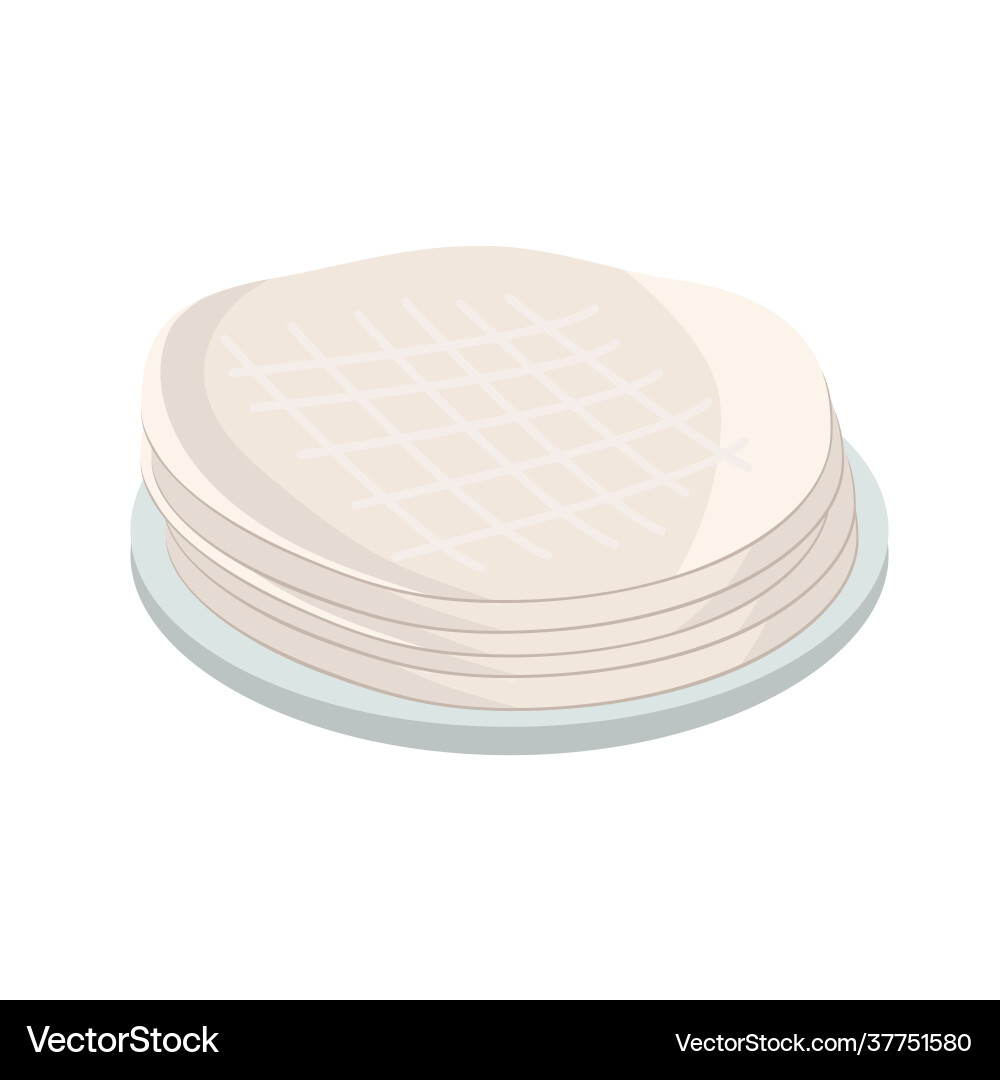 Rice paper wrappers on a plate isolated white Vector Image