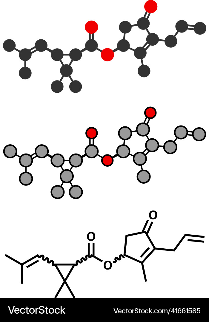 Allethrin pyrethroid insecticide synthetic analog Vector Image