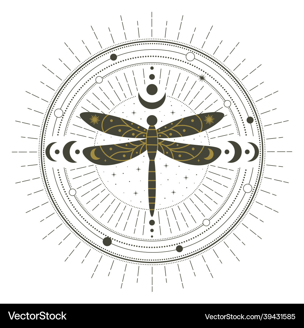 Magical witchcraft dragonfly insect mystical spell