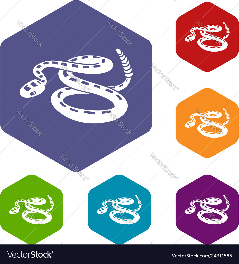 Rattlesnake icons hexahedron Royalty Free Vector Image