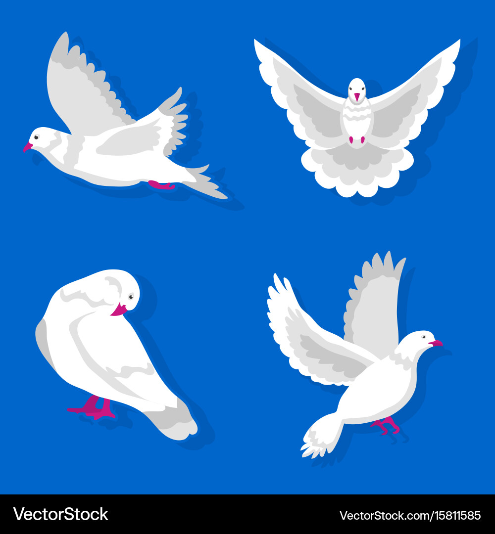 White pigeons in various poses isolated on blue Vector Image