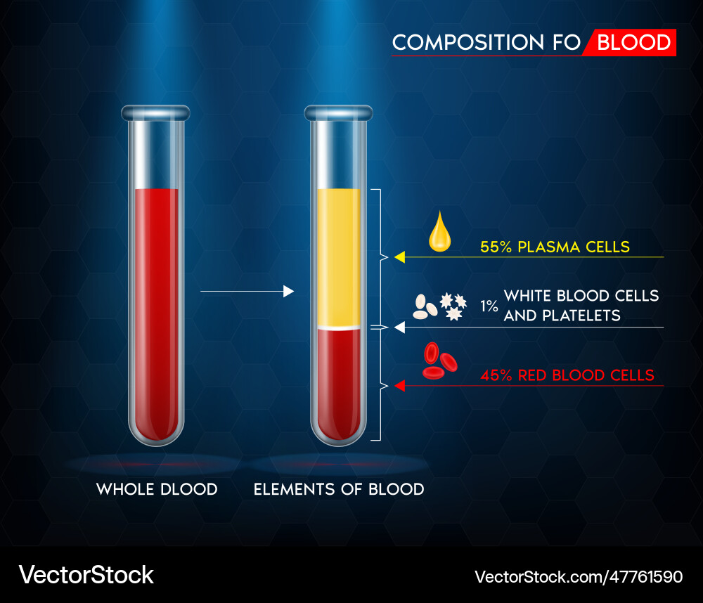 Elements of blood red cell Royalty Free Vector Image