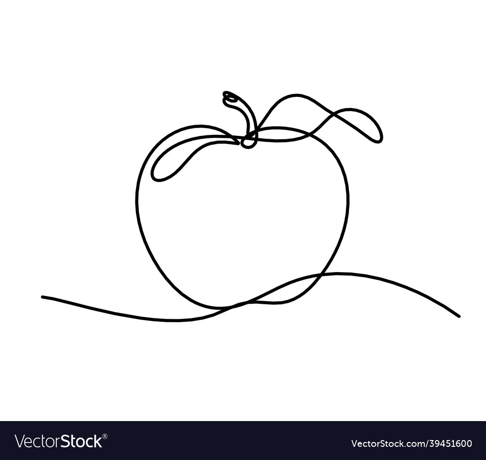 Drawing line apple on the white background Vector Image