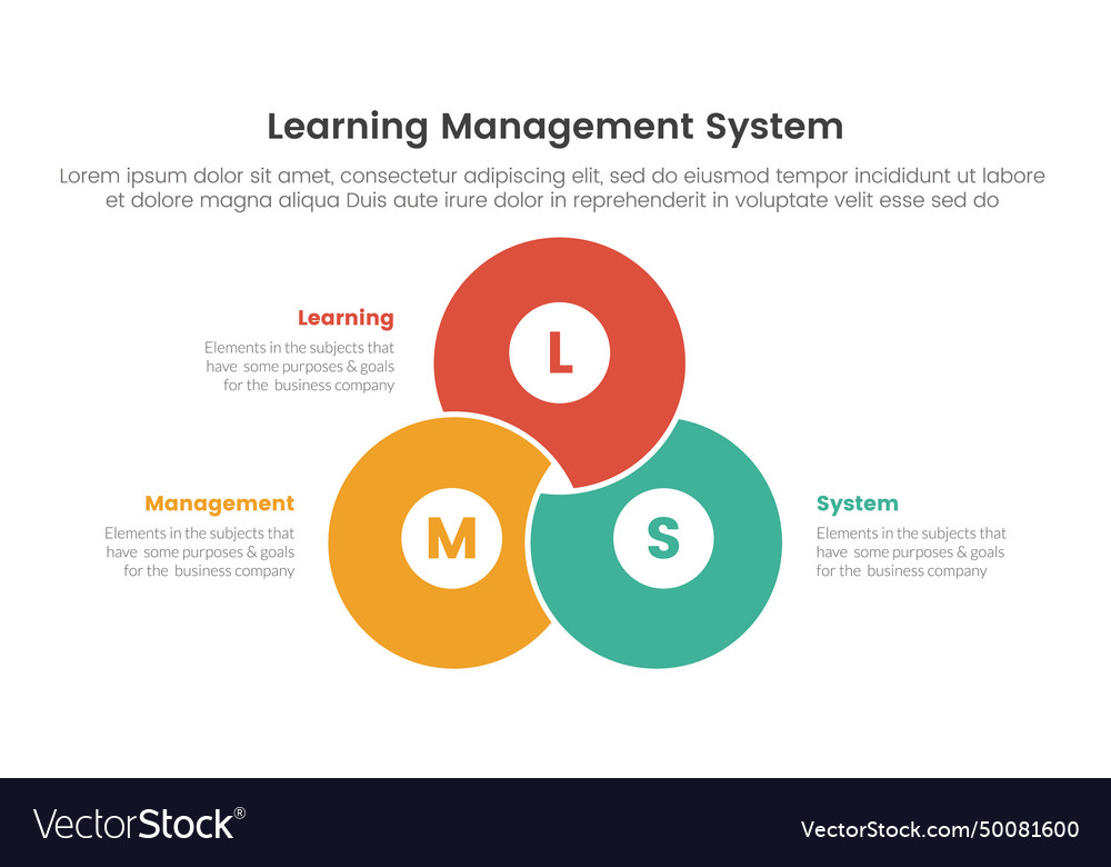 Lms learning management system infographic 3 Vector Image
