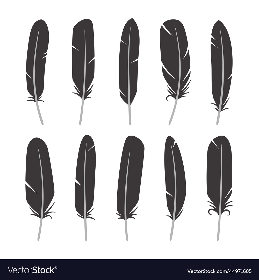 Feathers icon set in flat style black silhouettes Vector Image