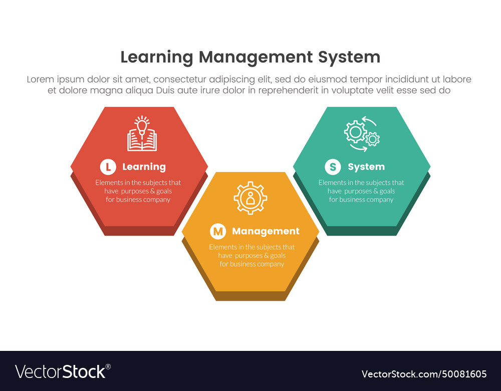 Lms learning management system infographic 3 Vector Image