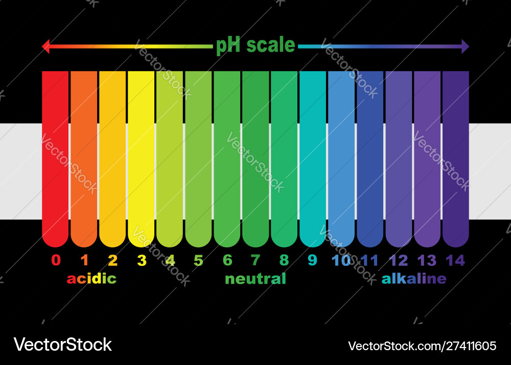 Scale ph value for acid and alkaline solutions Vector Image